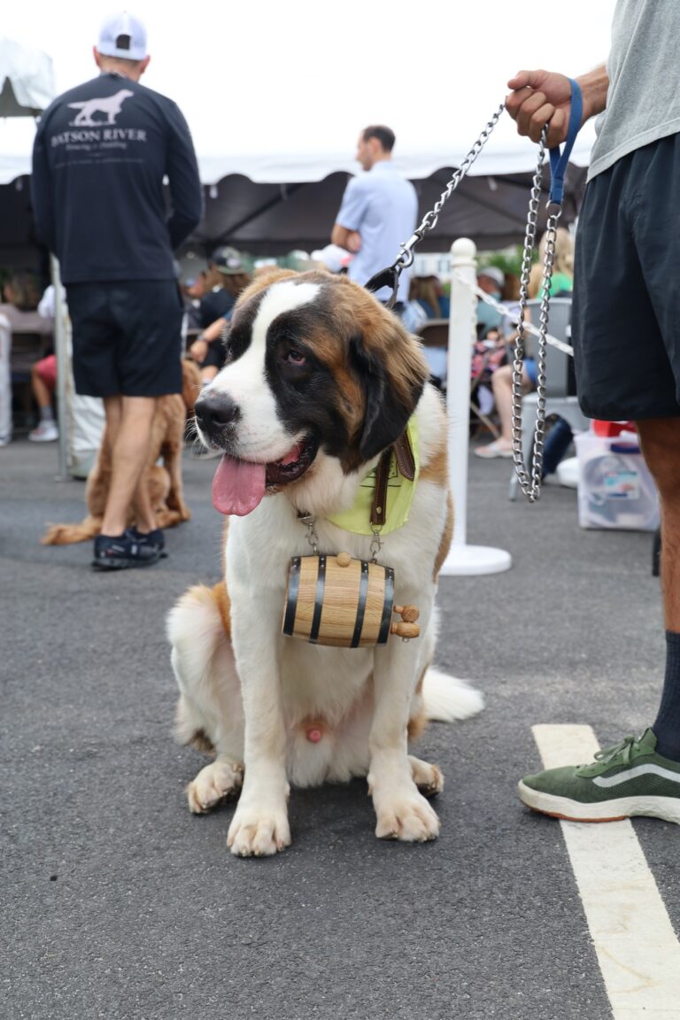 Margate Fall Funfest by the Bay - Margate Has More
